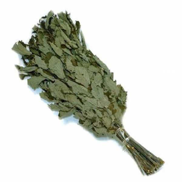 Банные веники фото – Веники для бани: виды и особенности